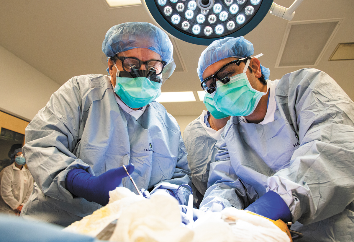 Donor organization to recover transplant organs at its own facility ...