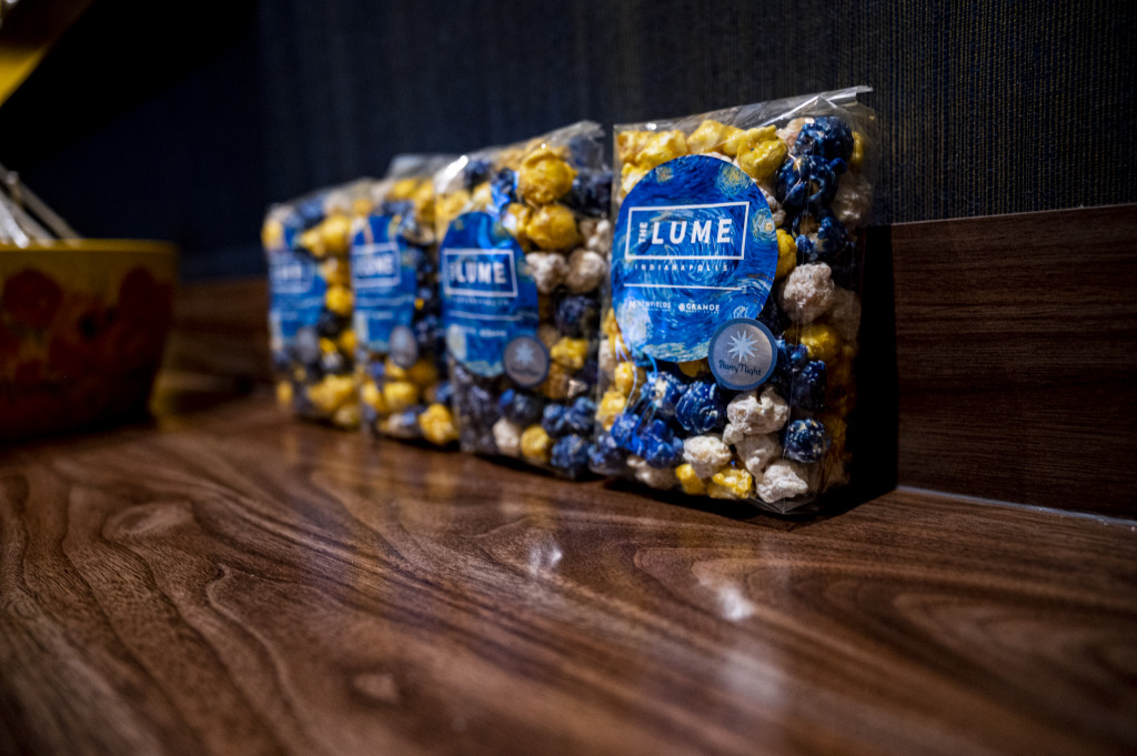 PHOTO GALLERY: The Lume at Newfields—Van Gogh – Indianapolis Business ...