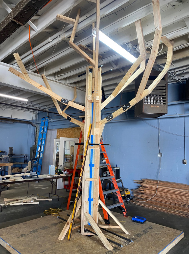 Hamilton County’s first cat cafe to open in Fishers – Indianapolis ...
