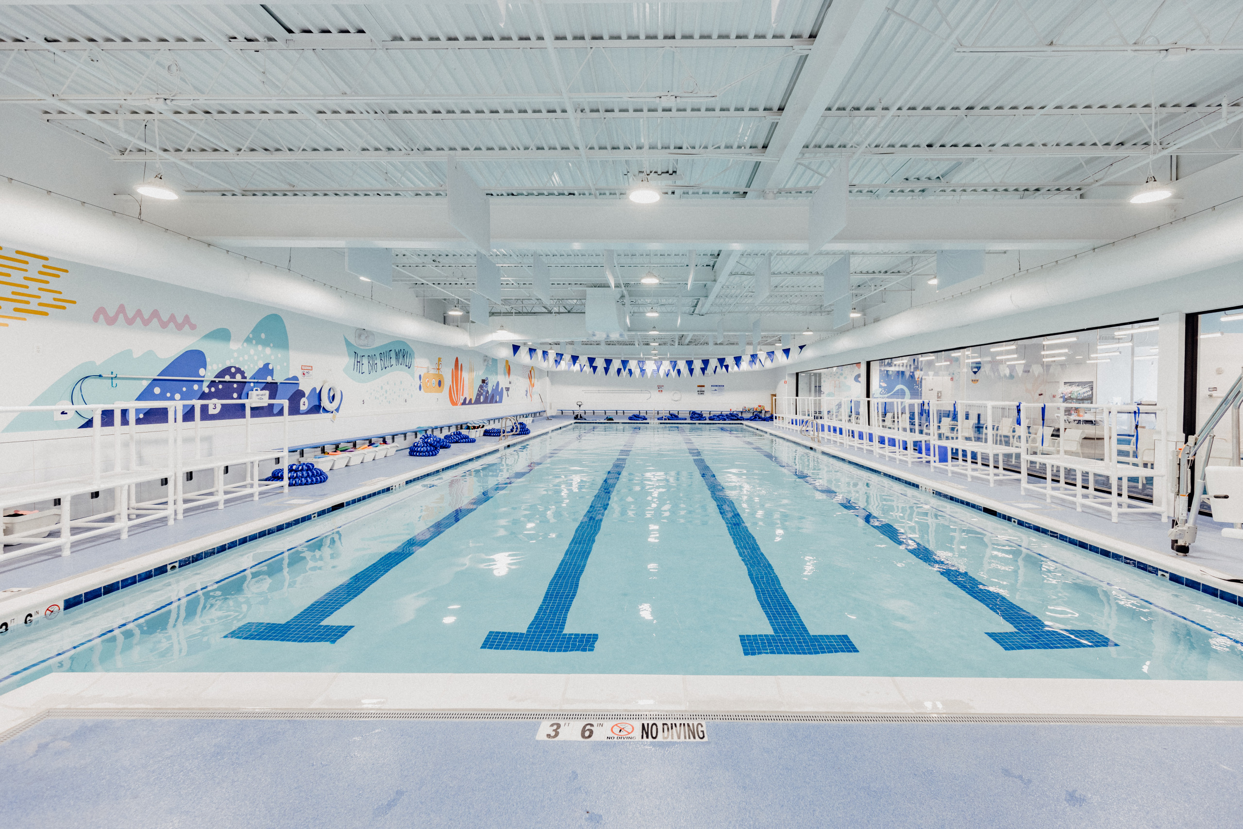 North of 96th roundup: Big Blue Swim School, Thai Sushi House among ...