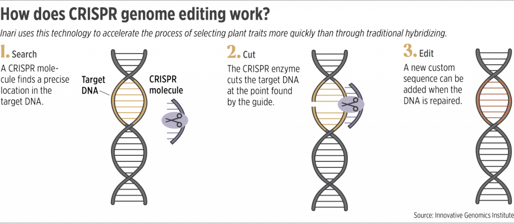 2023 Innovation Issue: Inari aims to boost crop yields through unique ...