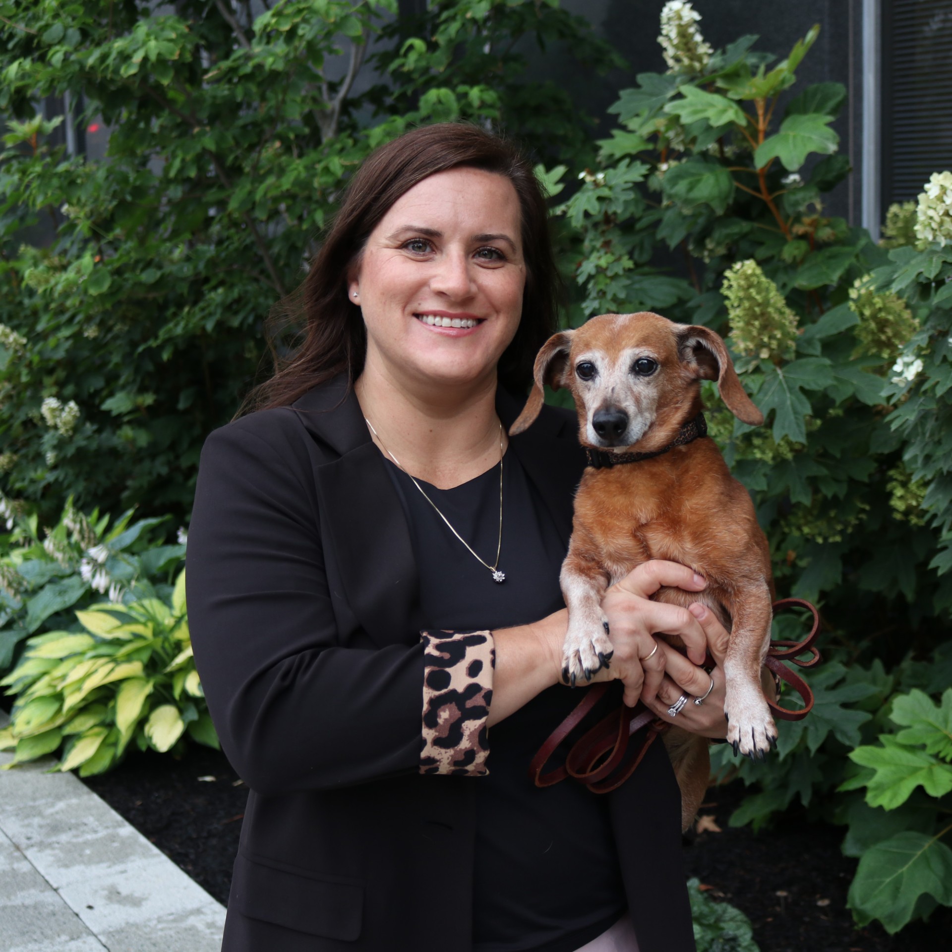 Council committee gives initial OK to Hogsett’s choice for Animal Care ...